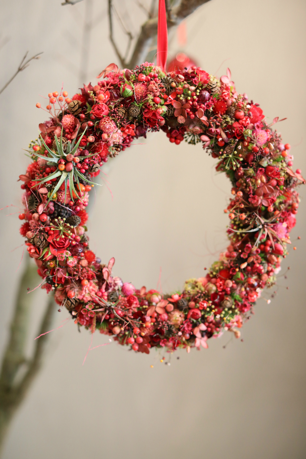 A Visit With Zita Elze - Botanical Brouhaha