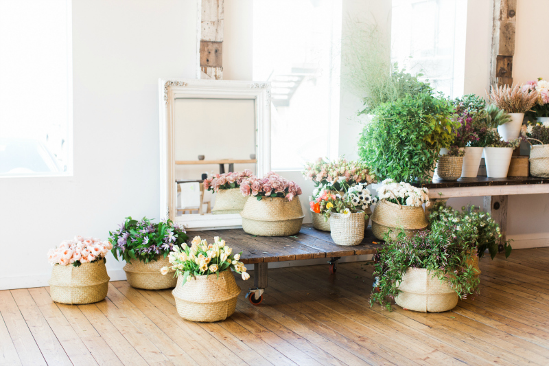 Mayesh Design Star Workshop | Seattle - Botanical Brouhaha