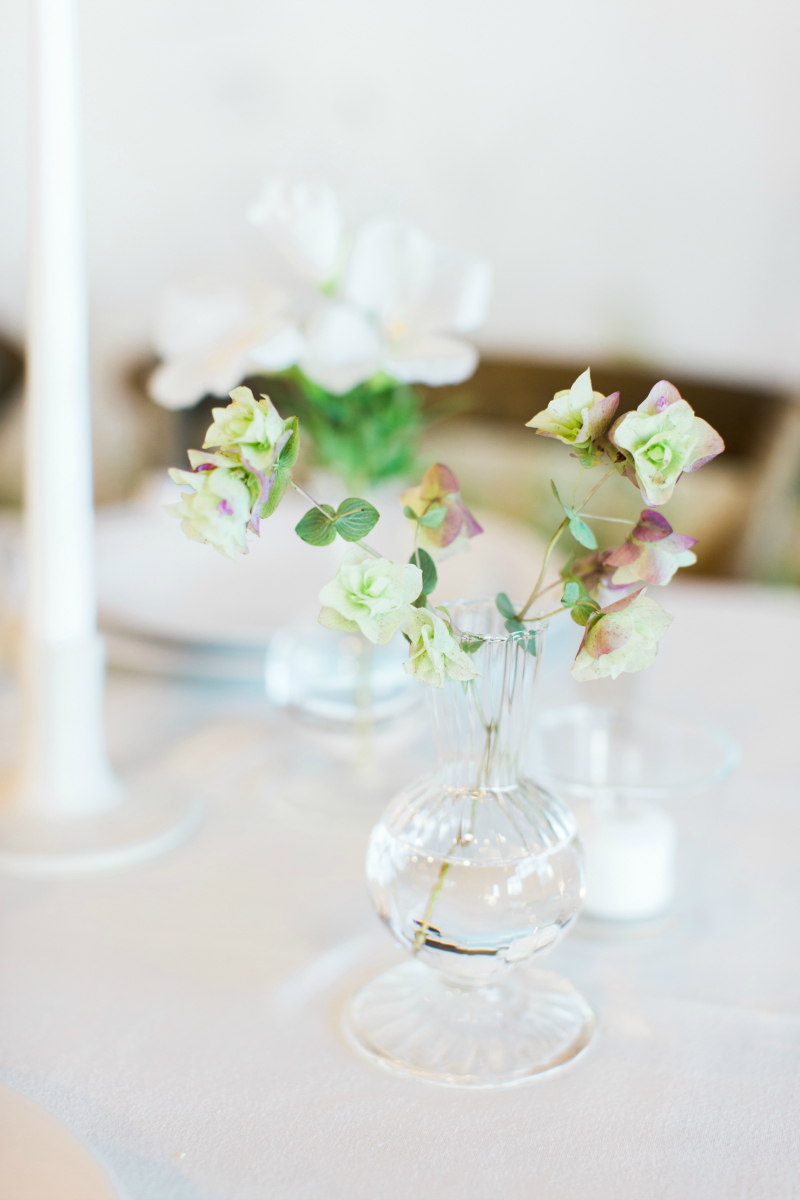 Mayesh Design Star Workshop | Seattle - Botanical Brouhaha