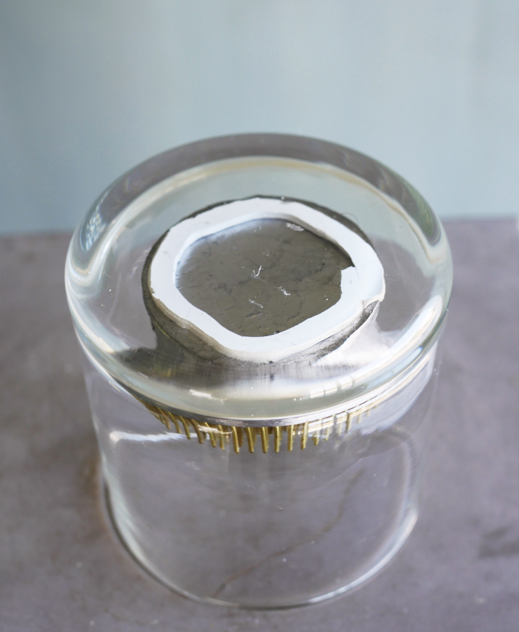 How To: Use a Pin Frog - Botanical Brouhaha