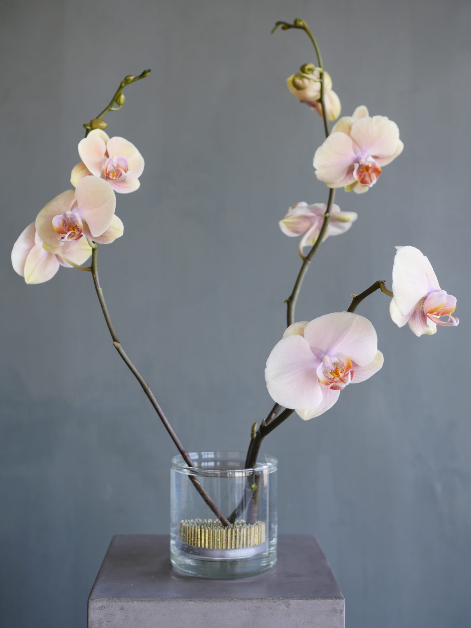 How To: Use a Pin Frog - Botanical Brouhaha