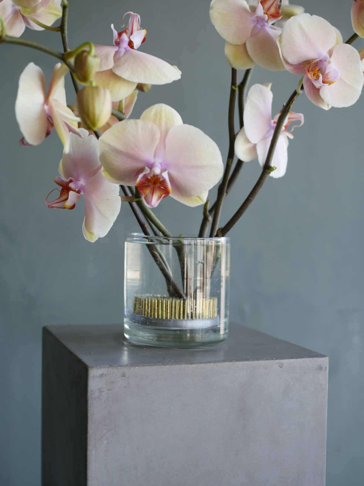 How To: Use a Pin Frog - Botanical Brouhaha