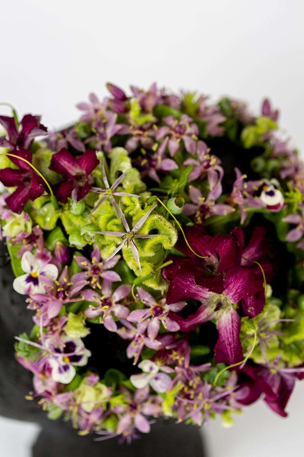How To Make A Floral Fascinator - Botanical Brouhaha