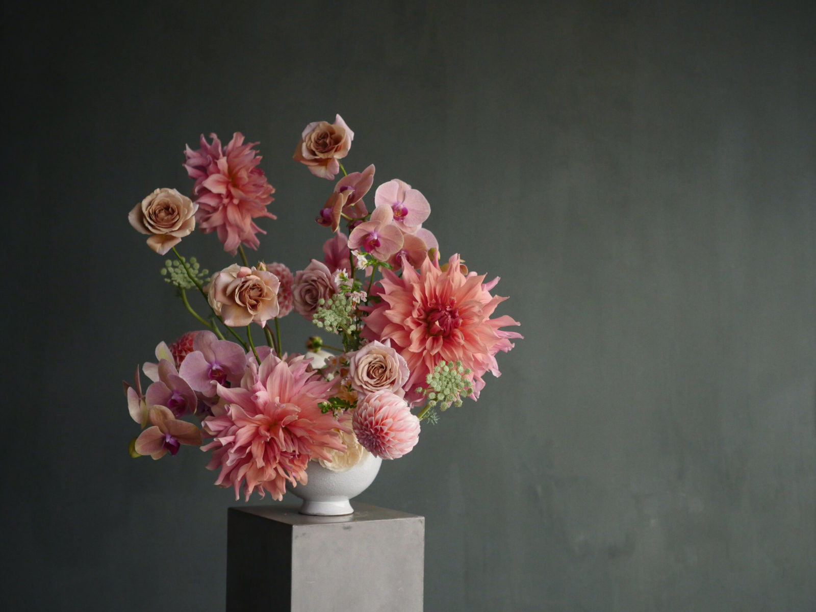 BB Podcast Episode 81: Alyssa Lytle - Botanical Brouhaha