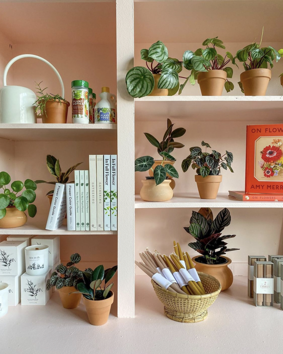 BB Podcast Episode 98: Katie Allen + Jenny Rausch - Botanical Brouhaha