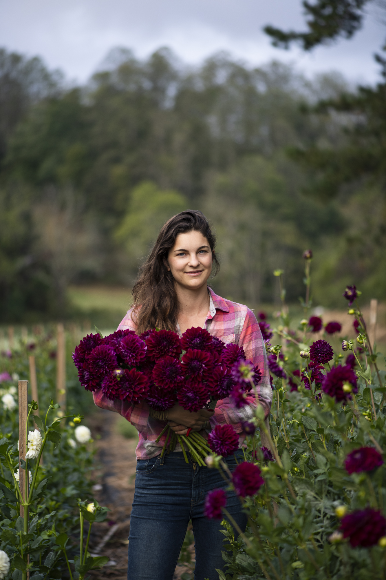 The Art of Adaptation: Emily Patrick’s Carolina Flowers Evolution ...