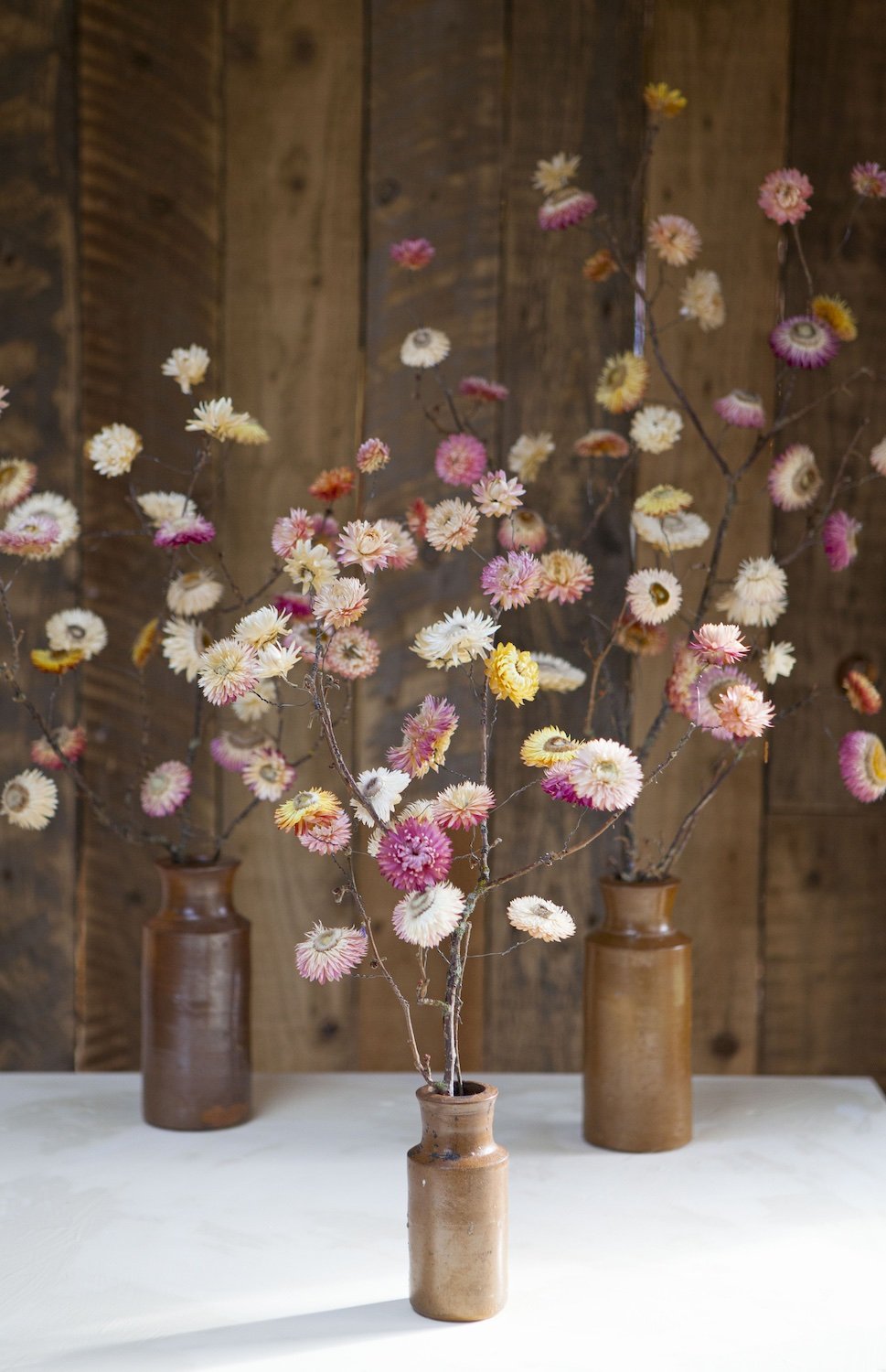 How Layla Robinson Found Her Niche in Dried Flowers - Botanical Brouhaha